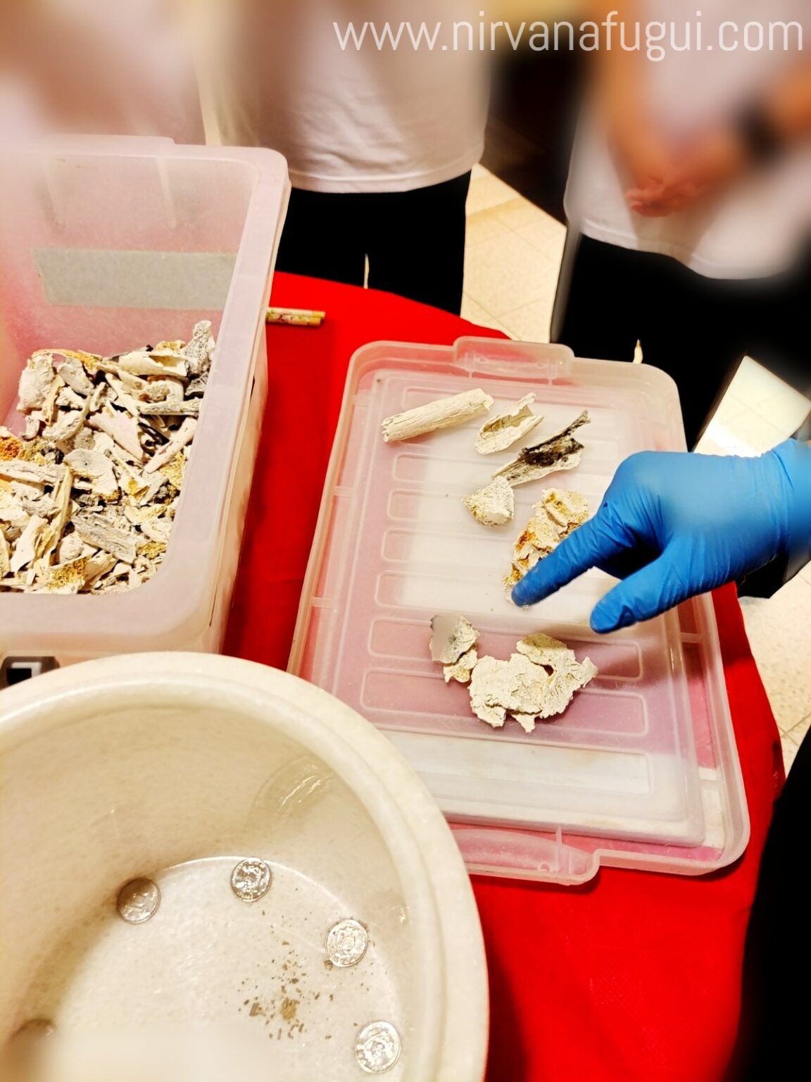 Buddhist Funeral Rites and the Concept of Afterlife